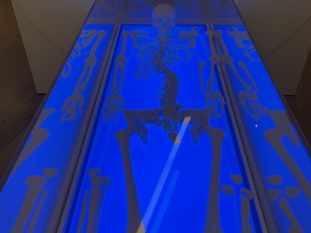 Top tips for a visit to the King Richard III (king in the car park ...